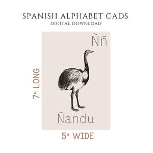 Spanish Alphabet Flash Cards, Letter Learning, Homeschool Learning ...