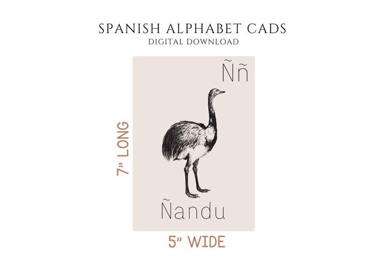 Spanish Alphabet Flash Cards, Letter Learning, Homeschool Learning ...