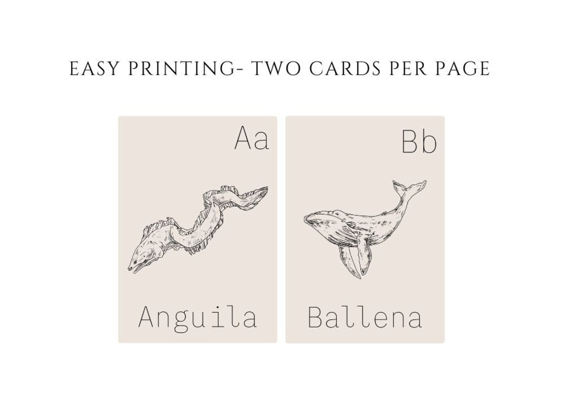 Spanish Alphabet Flash Cards, Letter Learning, Homeschool Learning ...