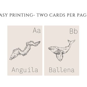 Spanish Alphabet Flash Cards, Letter Learning, Homeschool Learning ...