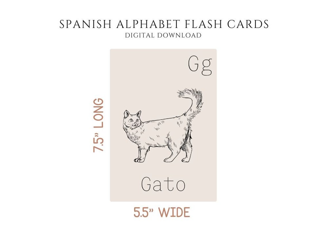Spanish Alphabet Flash Cards, Letter Learning, Homeschool Learning ...
