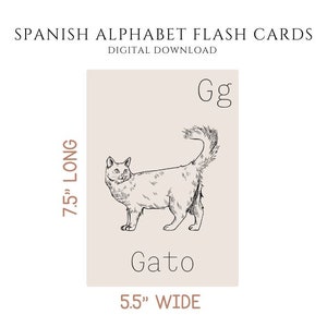 Spanish Alphabet Flash Cards Letter Learning Homeschool - Etsy