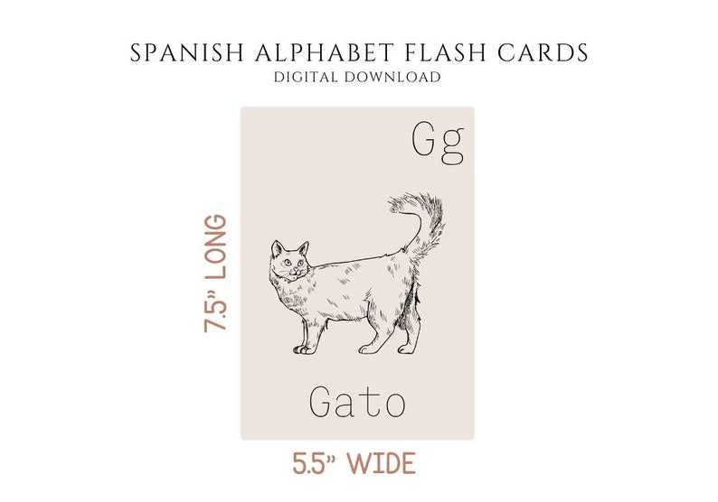 Spanish Alphabet Flash Cards Letter Learning Homeschool - Etsy