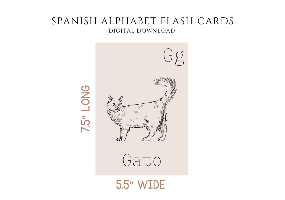 Spanish Alphabet Flash Cards Letter Learning Homeschool - Etsy