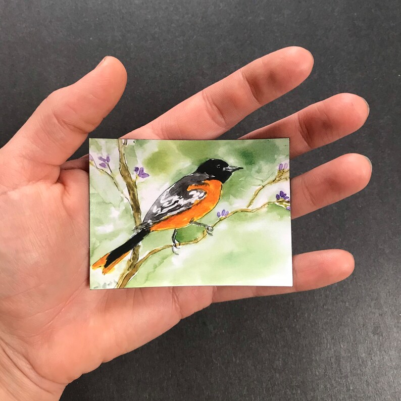 Eastern Bluebird and Oriole Fridge Magnets | Colorful Watercolor Nature ...