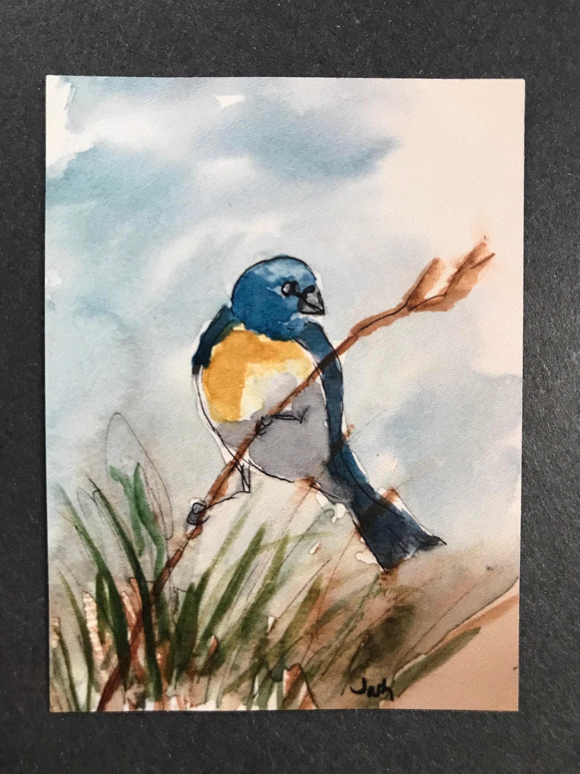 Eastern Bluebird Fridge Magnet Colorful Watercolor Nature - Etsy