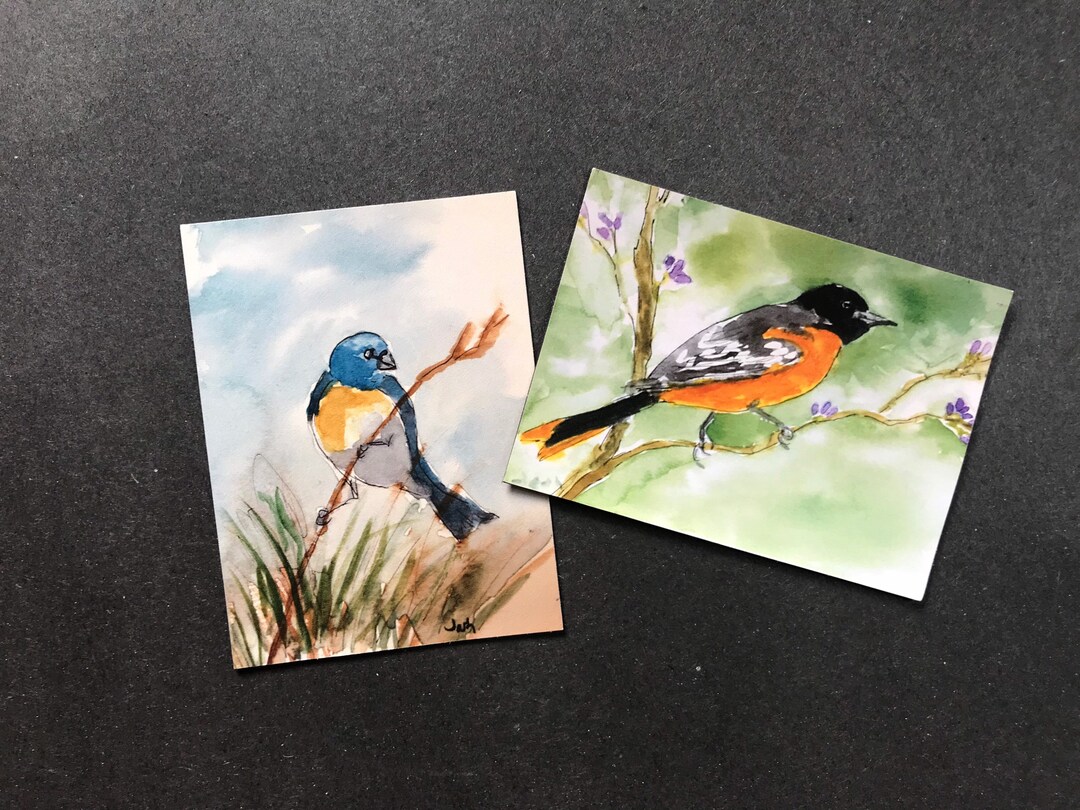 Eastern Bluebird and Oriole Fridge Magnets | Colorful Watercolor Nature ...