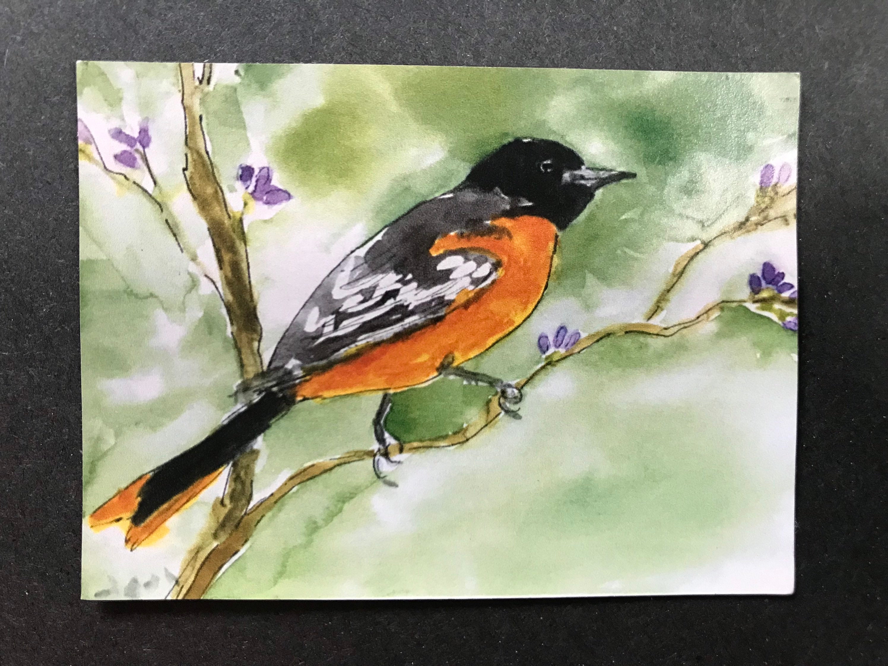 Eastern Bluebird and Oriole Fridge Magnets Colorful Watercolor Nature ...
