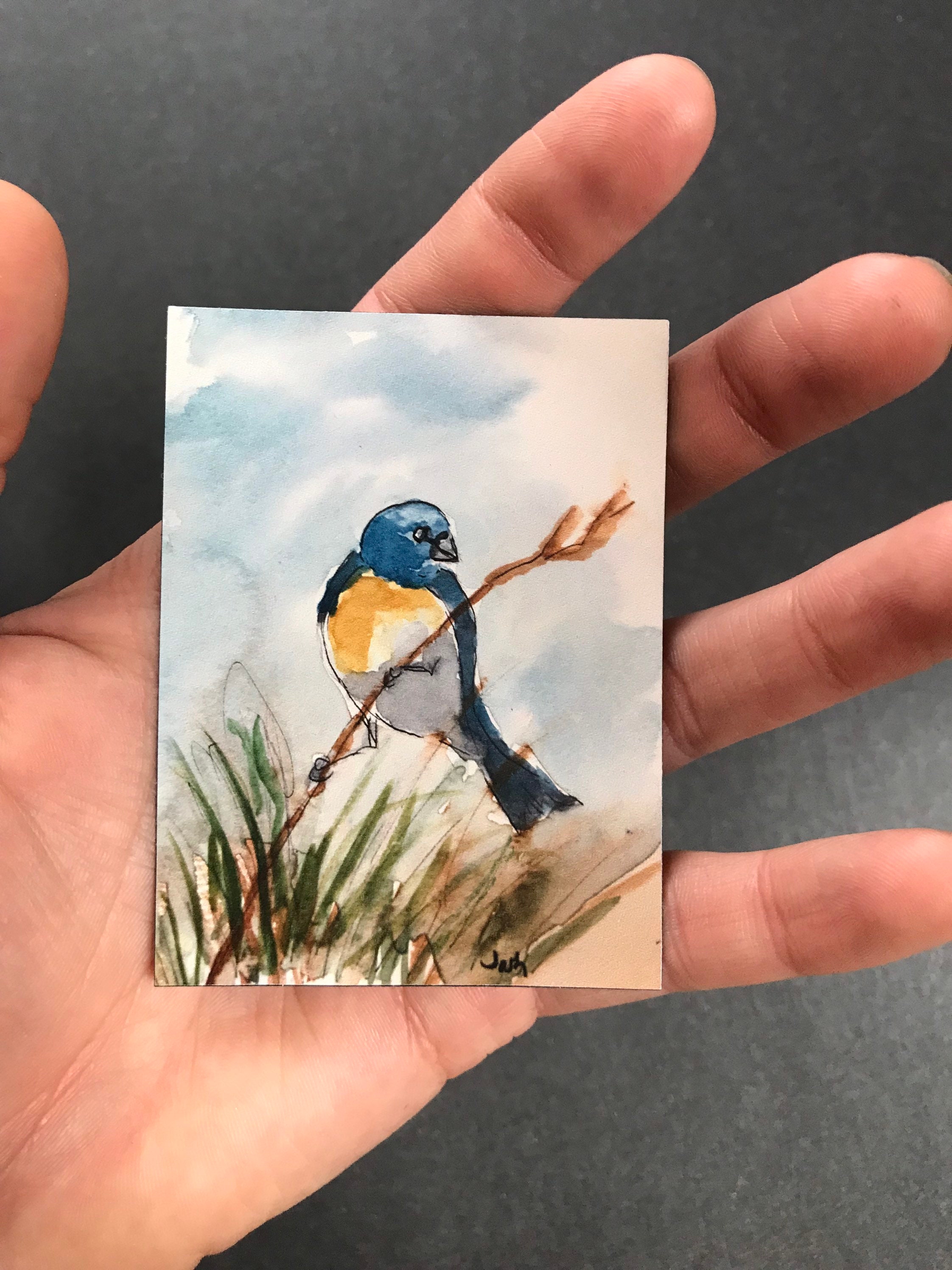 Eastern Bluebird and Oriole Fridge Magnets Colorful - Etsy