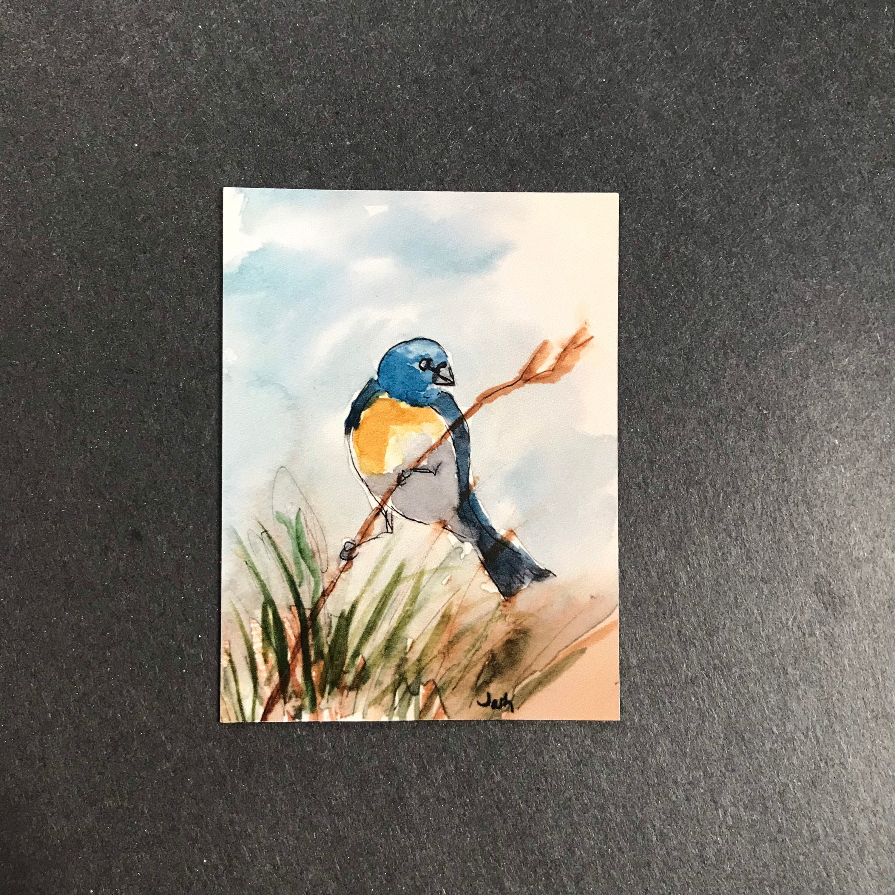 Eastern Bluebird Fridge Magnet Colorful Watercolor Nature - Etsy