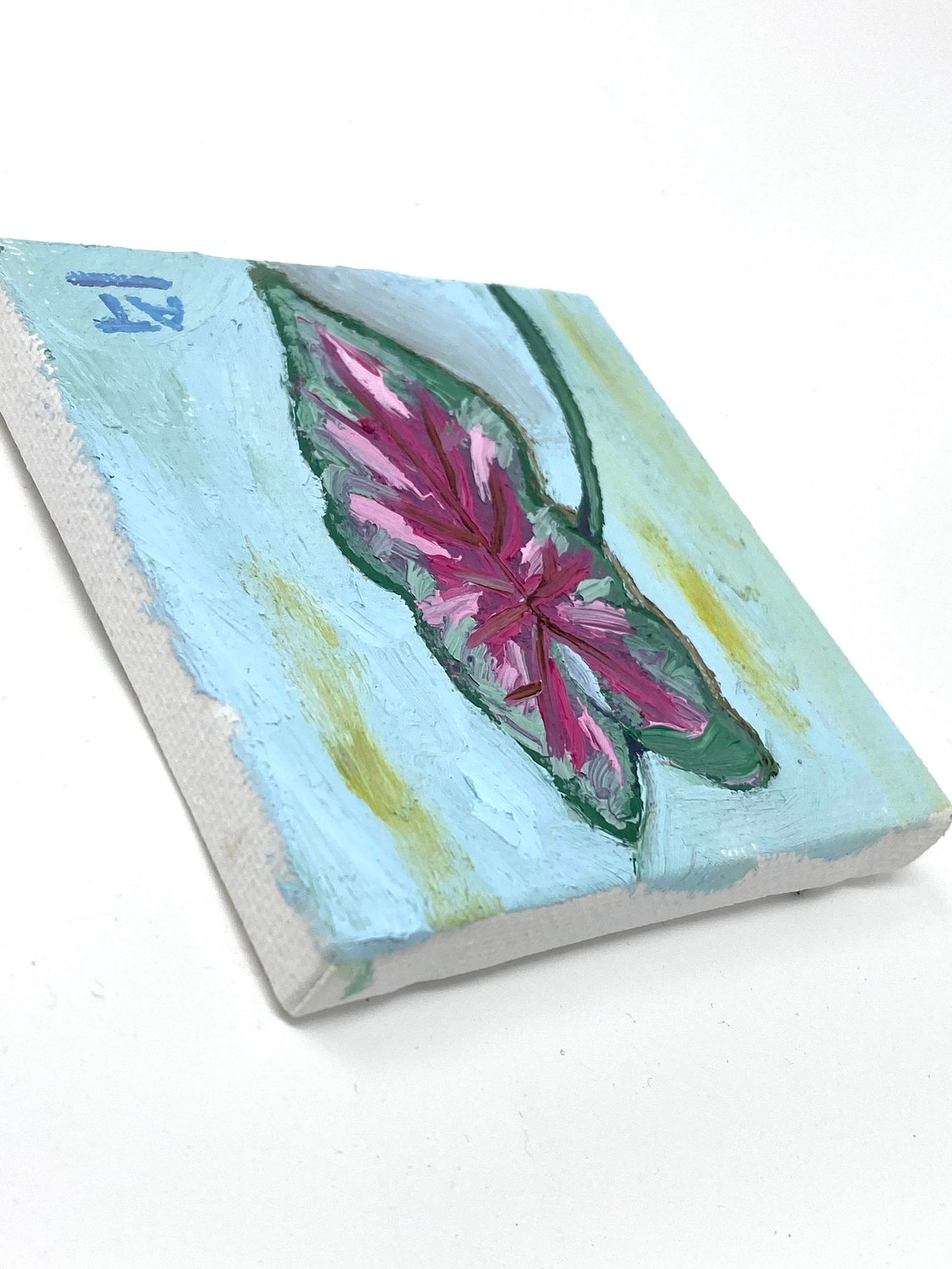 Small Caladium Oil Painting on Canvas - Etsy