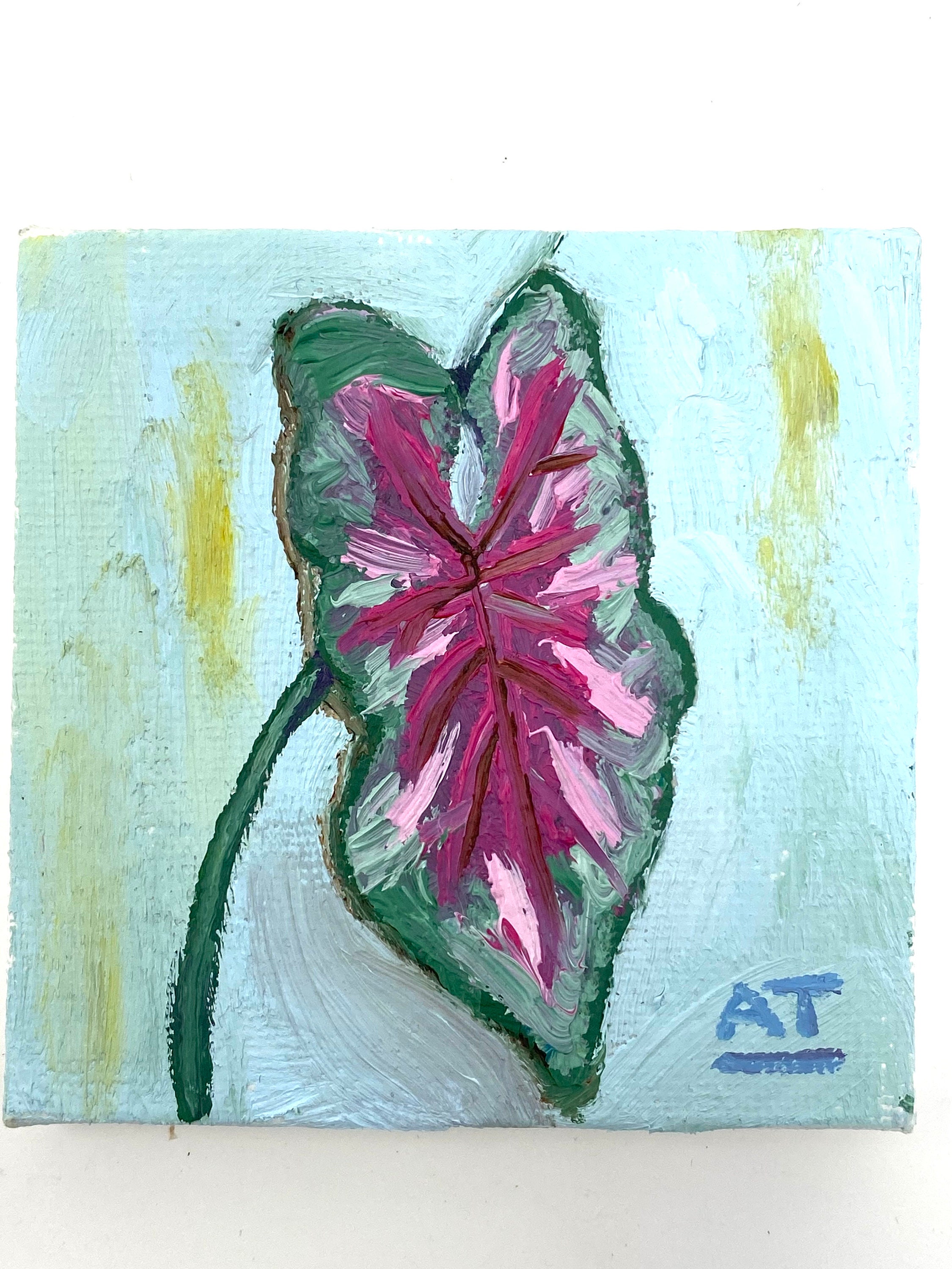 Small Caladium Oil Painting on Canvas - Etsy