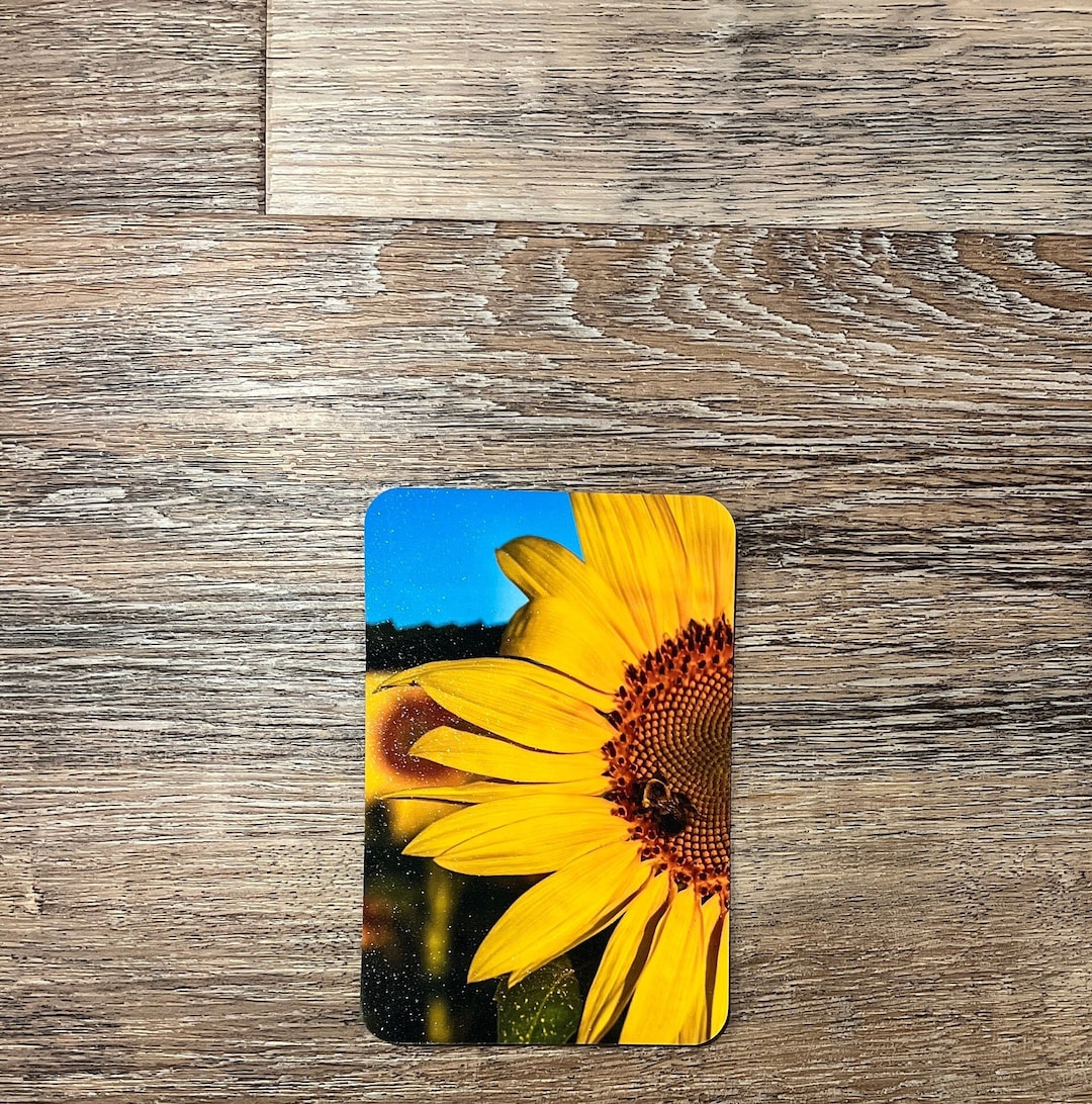 Sunflower and Bumblebee Photography Magnet - Etsy