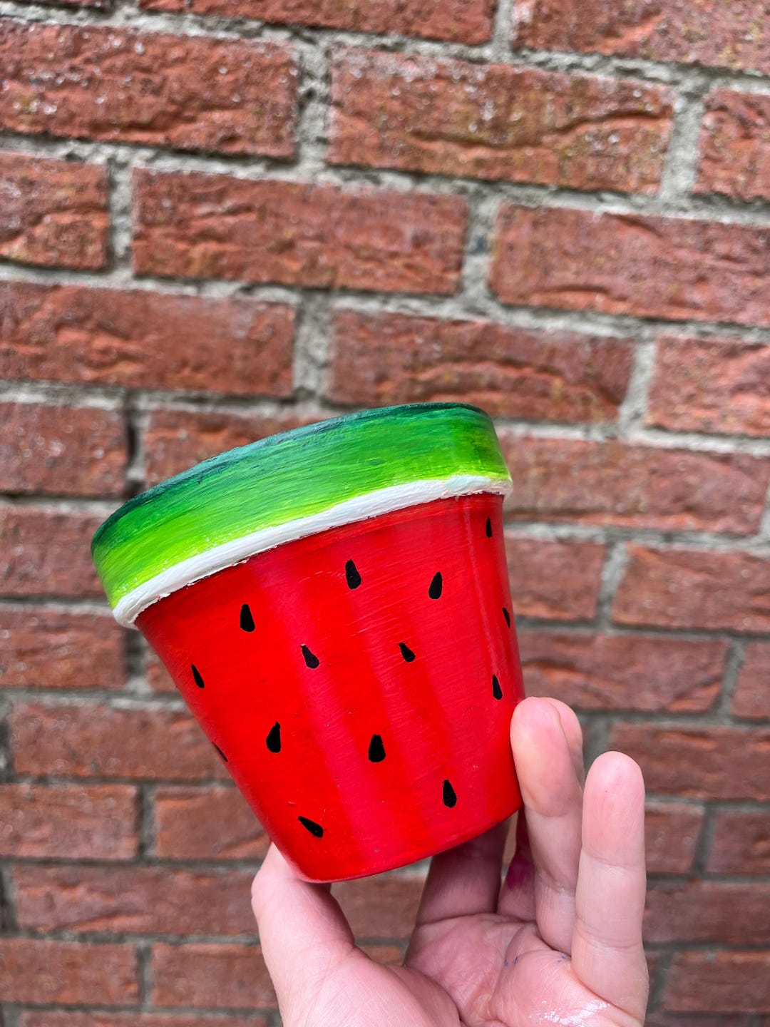 Watermelon Plant Pot - Etsy UK