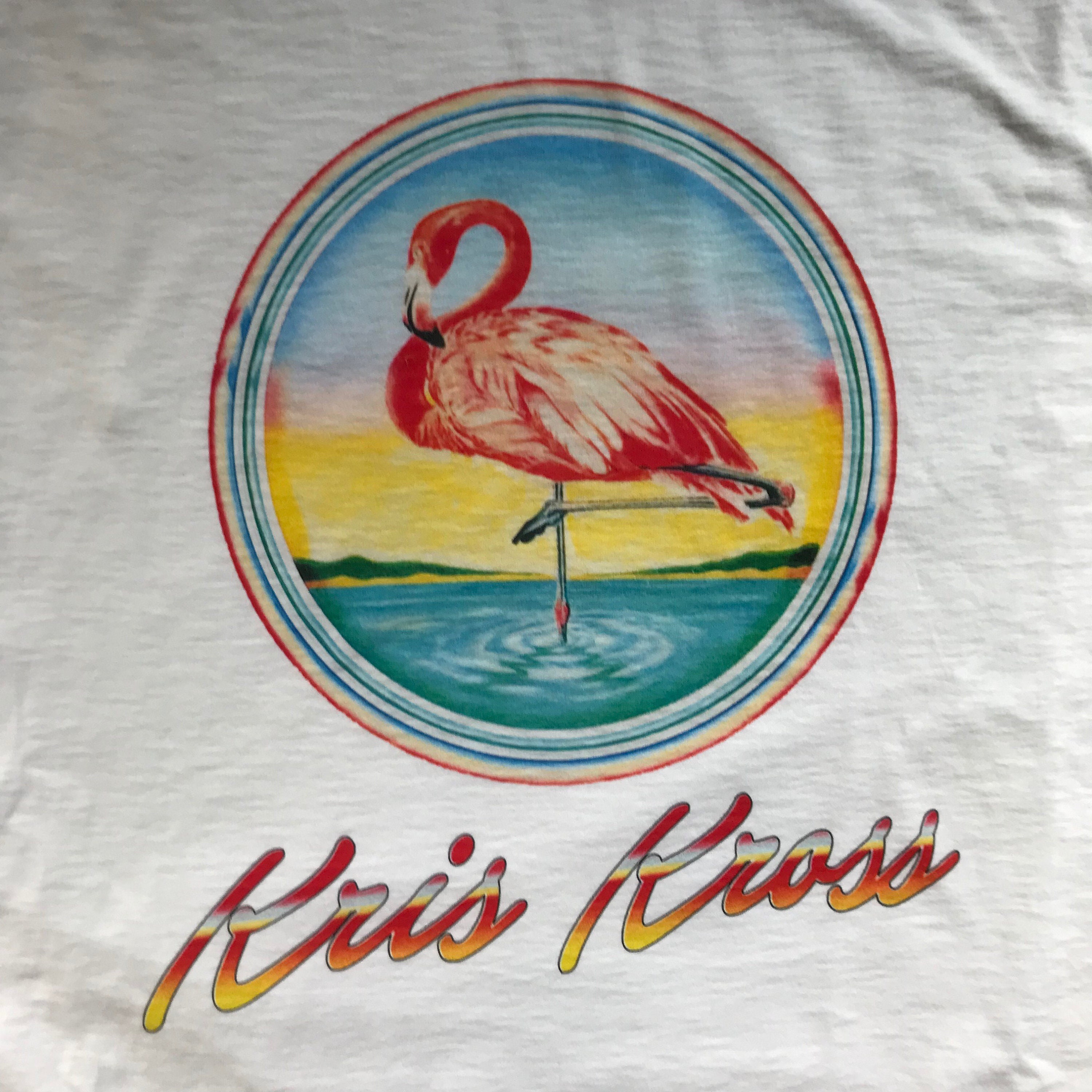 Christopher Cross Kriss Kross Flamingo T Shirt - Etsy