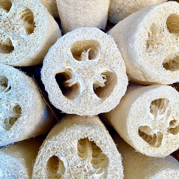 Luffa - Etsy