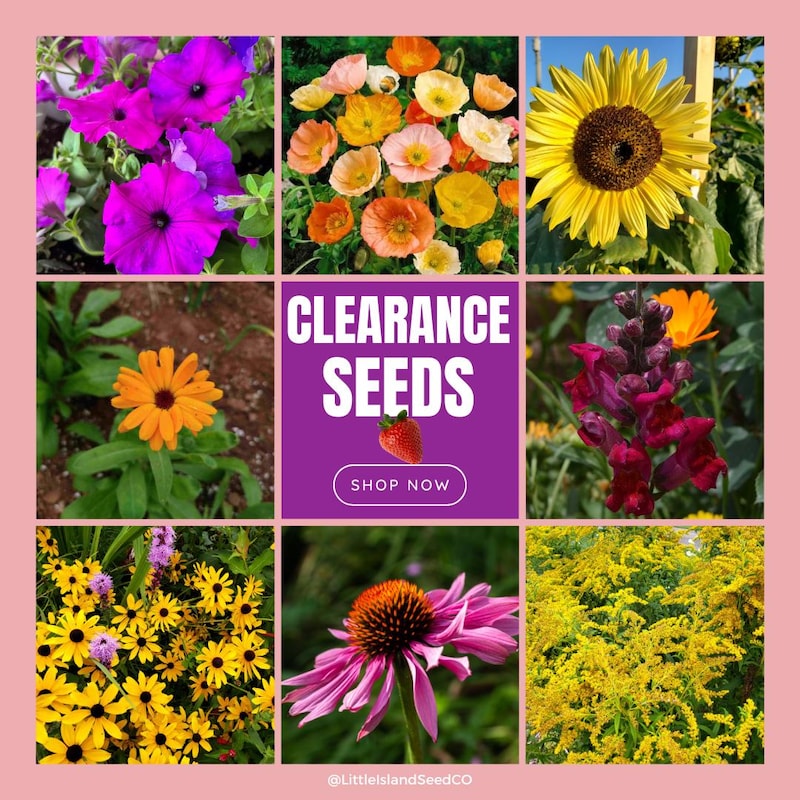 Perennial Seeds - Etsy