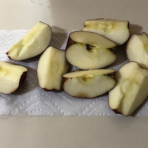 Red Delicious Apple Seeds malus Pumila for Seedling Rootstock/food ...