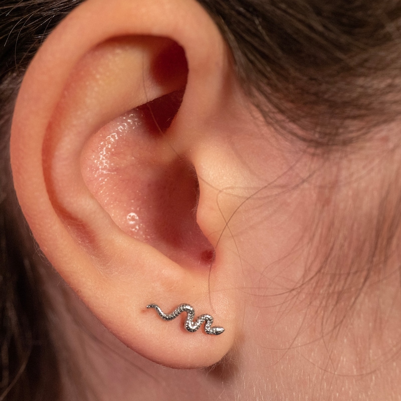 Snake Stud Earrings - Etsy