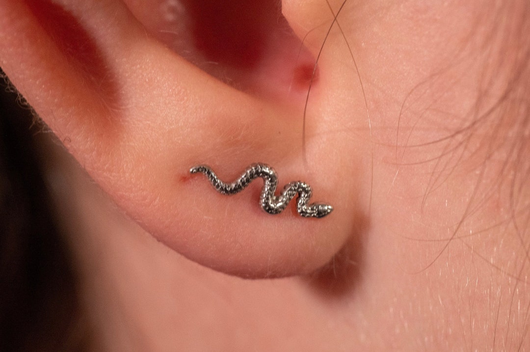 Tiny Snake Cartilage Earring, 316L Surgical Steel Threaded Conch Snake ...