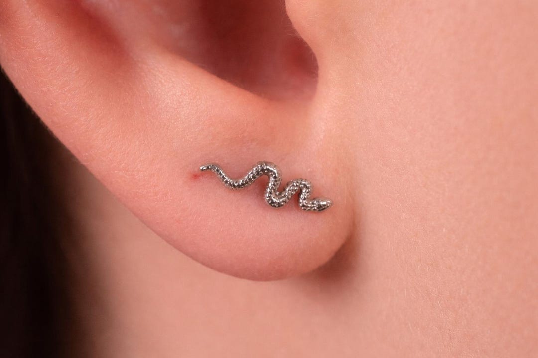 Tiny Snake Cartilage Earring, 316L Surgical Steel Threaded Conch Snake ...