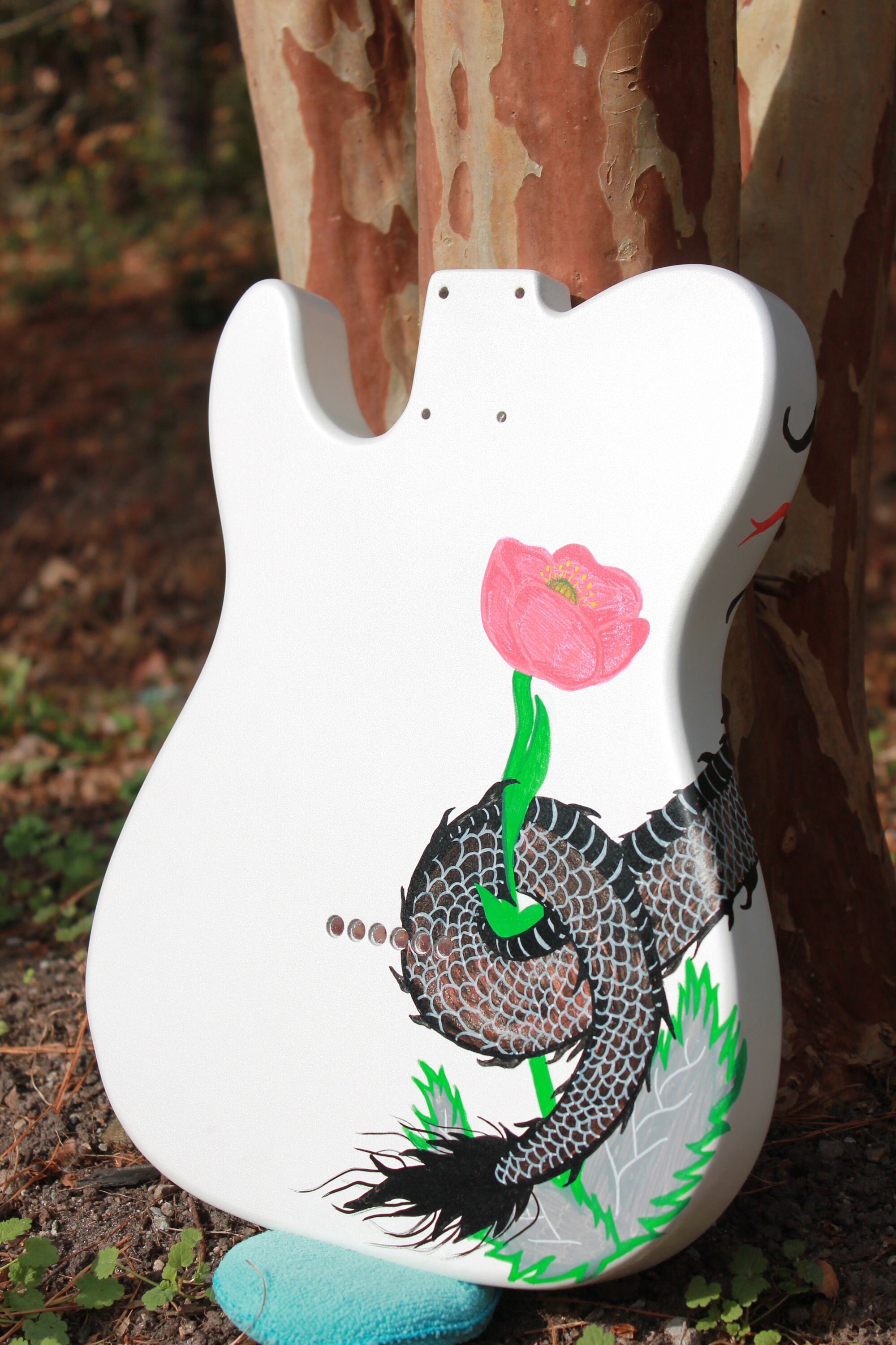Painted Guitar Bodies