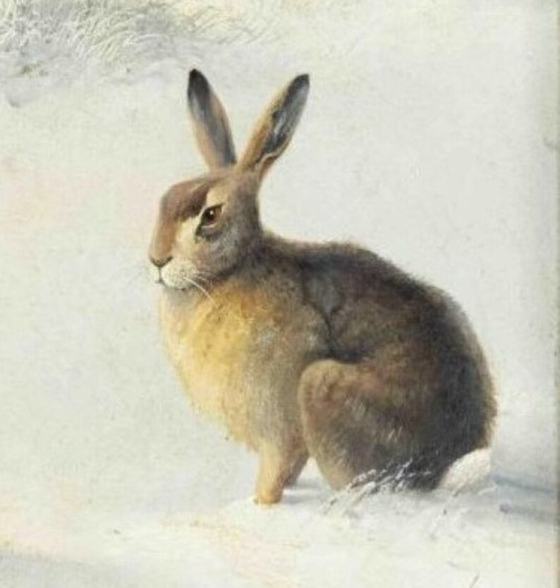2 Hares in the Snow", Rabbit Print, Bunny Rabbits, Landscapes, Snowy ...