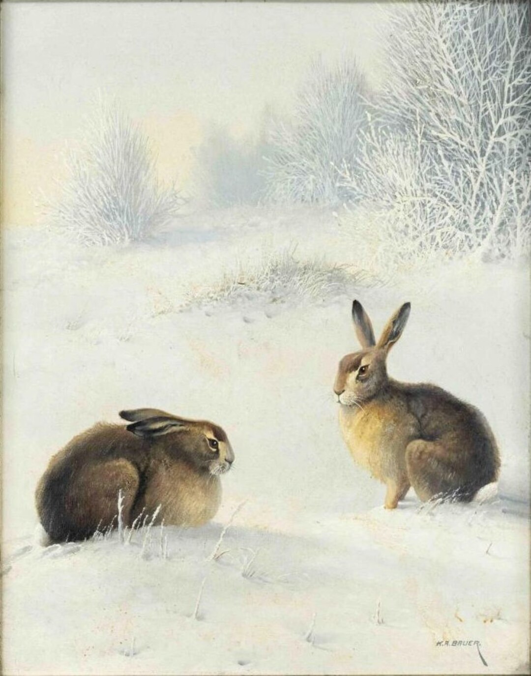 2 Hares in the Snow", Rabbit Print, Bunny Rabbits, Landscapes, Snowy ...