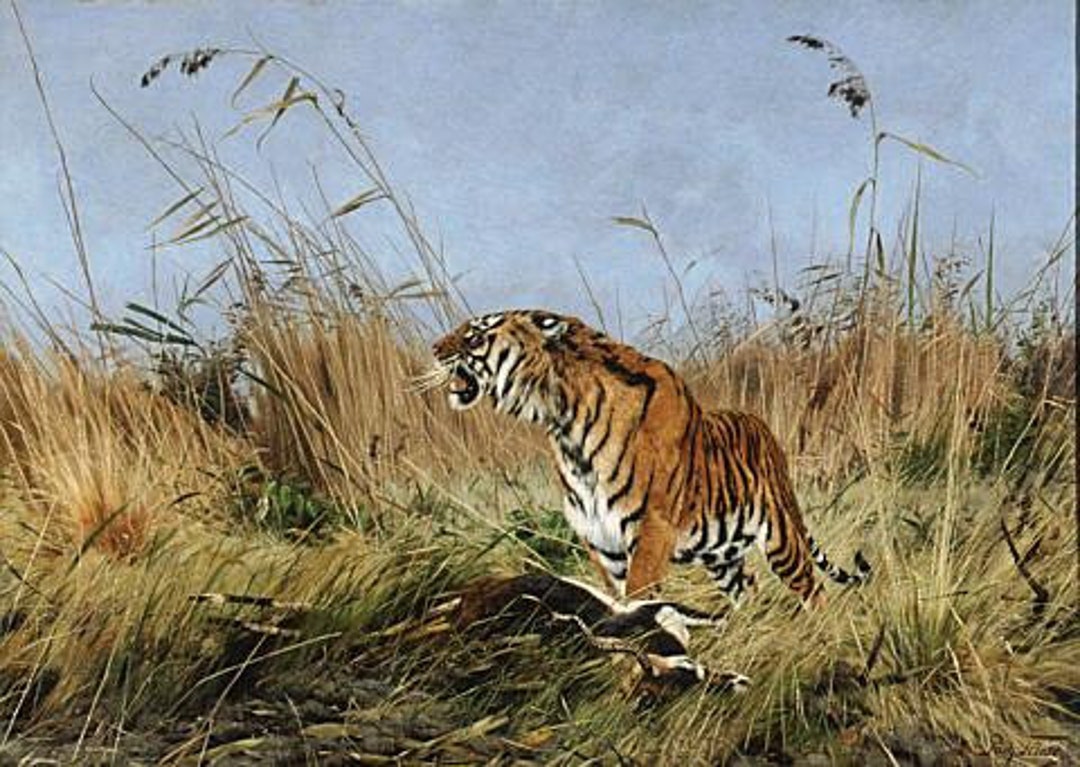 The Tiger" by Richard Friese 1890, Tigers, Blue Sky, Nature Prints ...