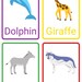 Bundle | Animal Flashcards | Flashcards | Preschool Memory Game ...