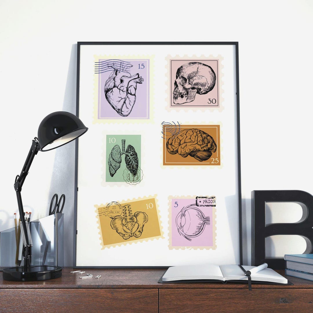 Heart Scull Lungs Brain Pelvis Eye Anatomy Postal Stamp Poster, Human ...