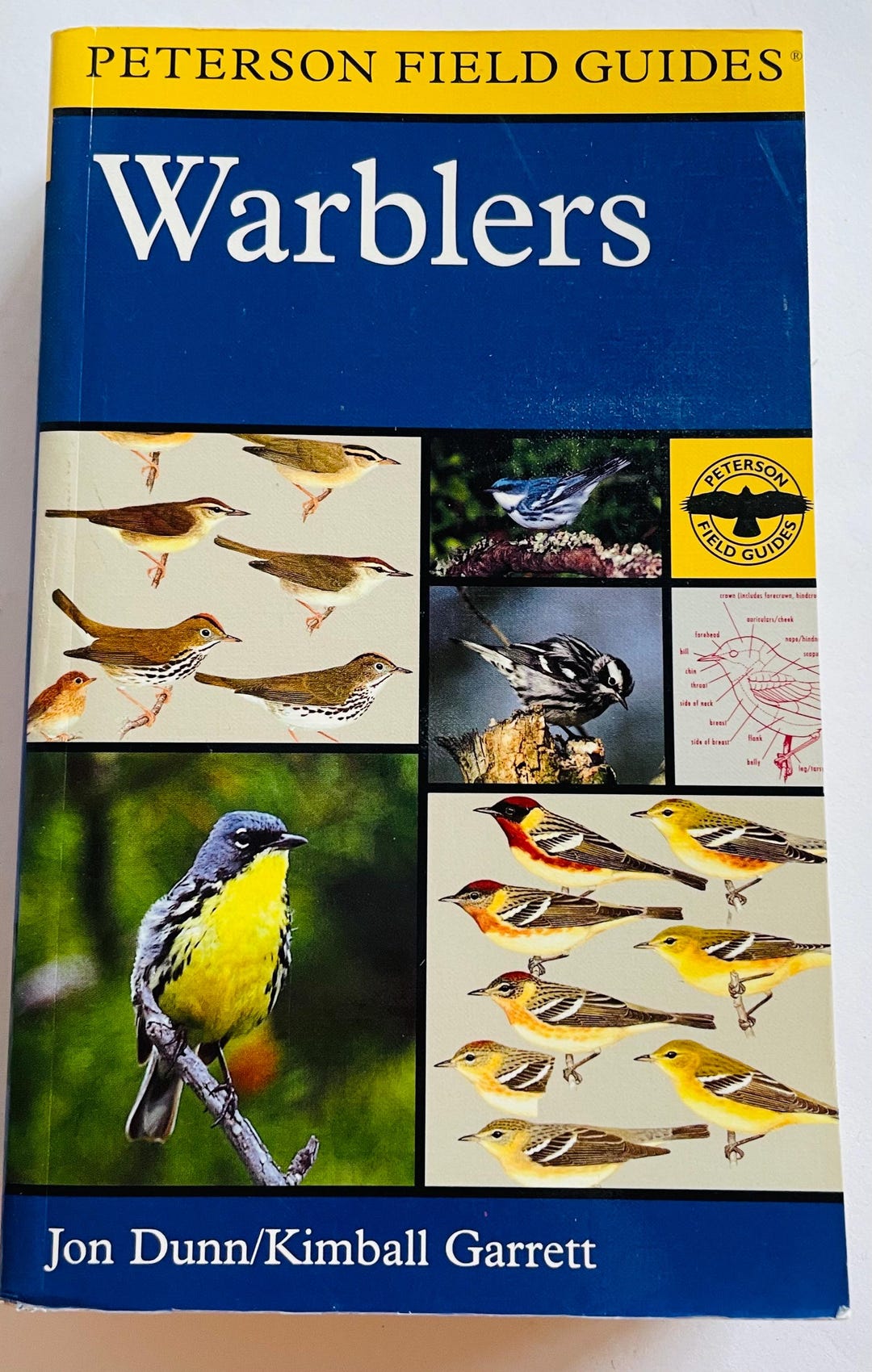 Vintage Peterson Field Guide: Warblers of North America (1997 Edition ...