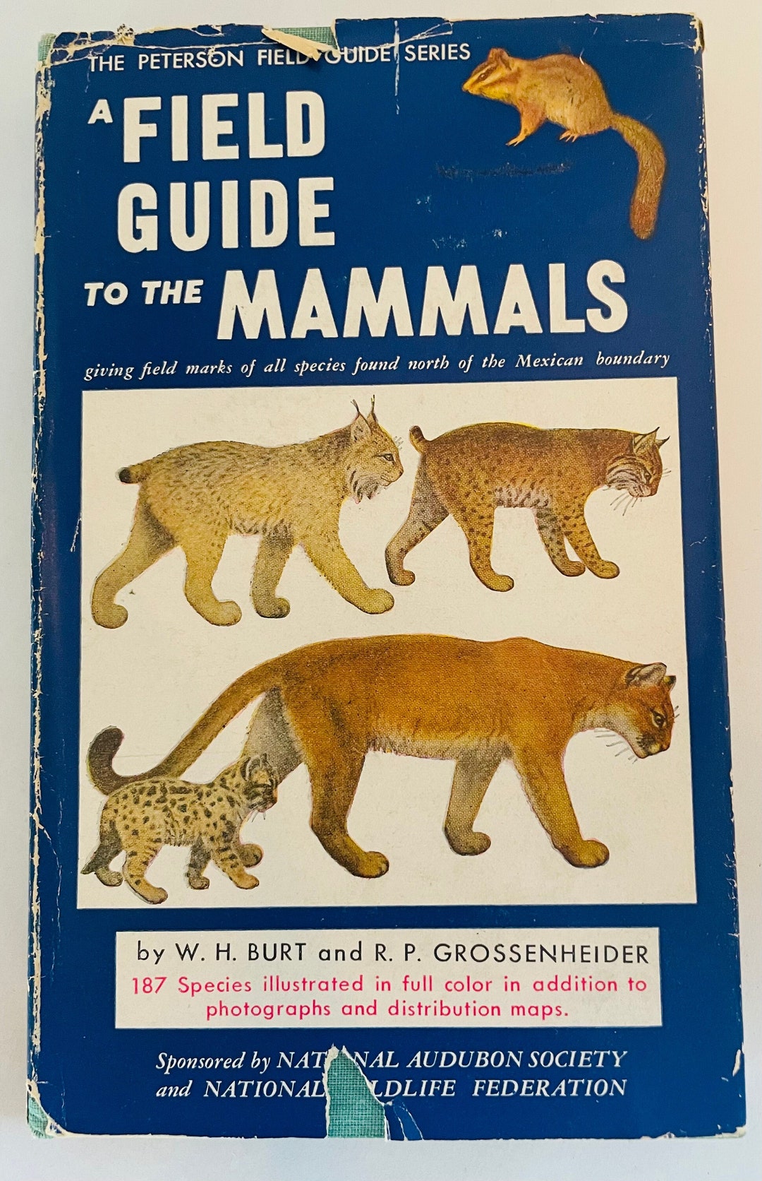 Peterson Field Guide to the Mammals Vintage Hardback - Etsy