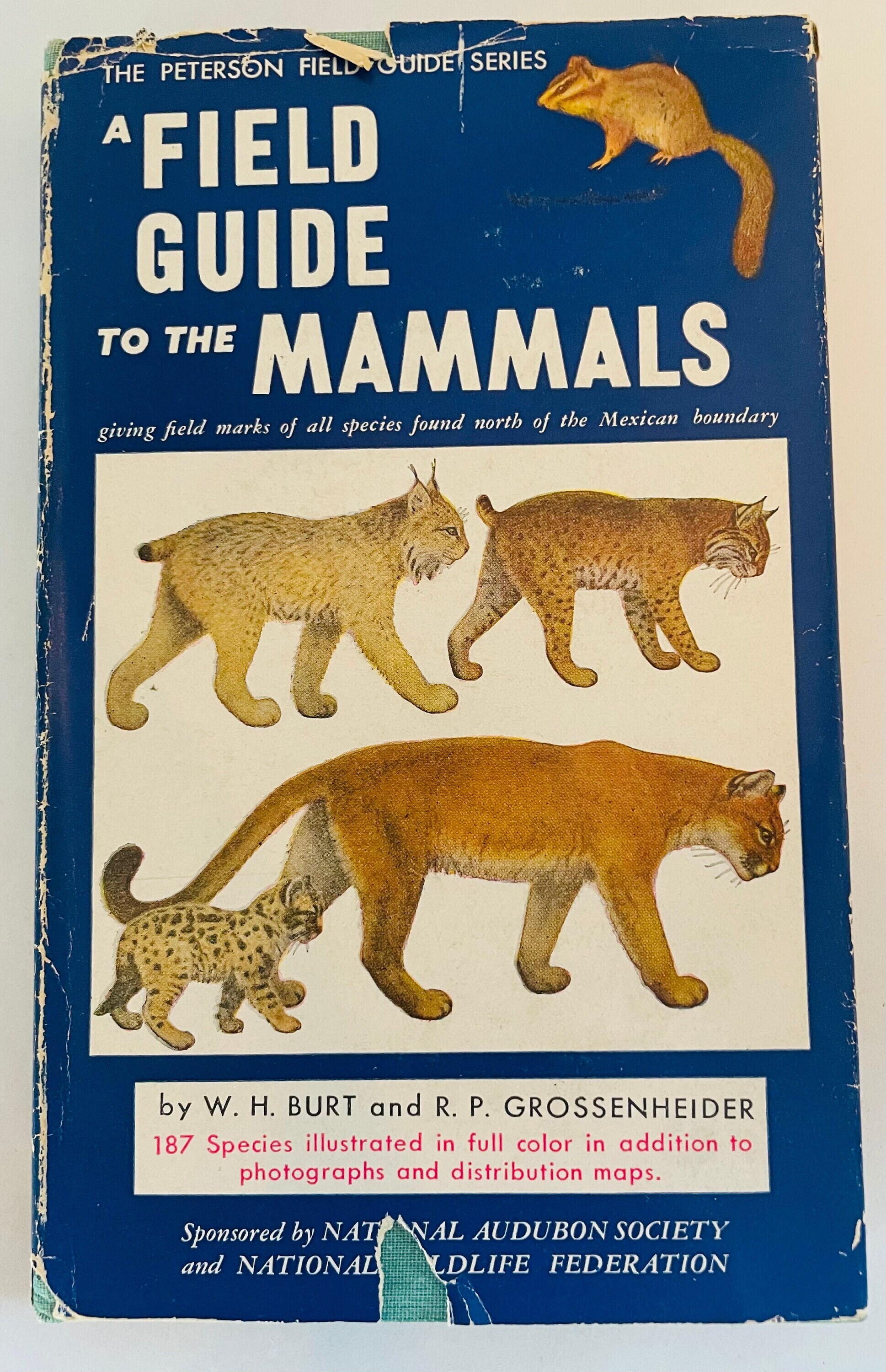 Peterson Field Guide to the Mammals Vintage Hardback - Etsy