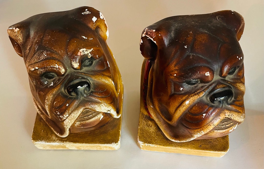 Vintage Chalkware Bulldog Bookends - Etsy