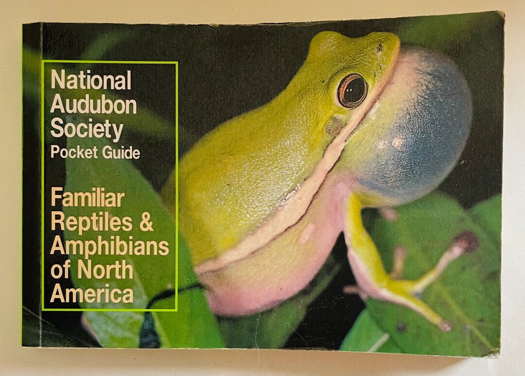 Familiar Reptiles & Amphibians of North America National Audubon ...