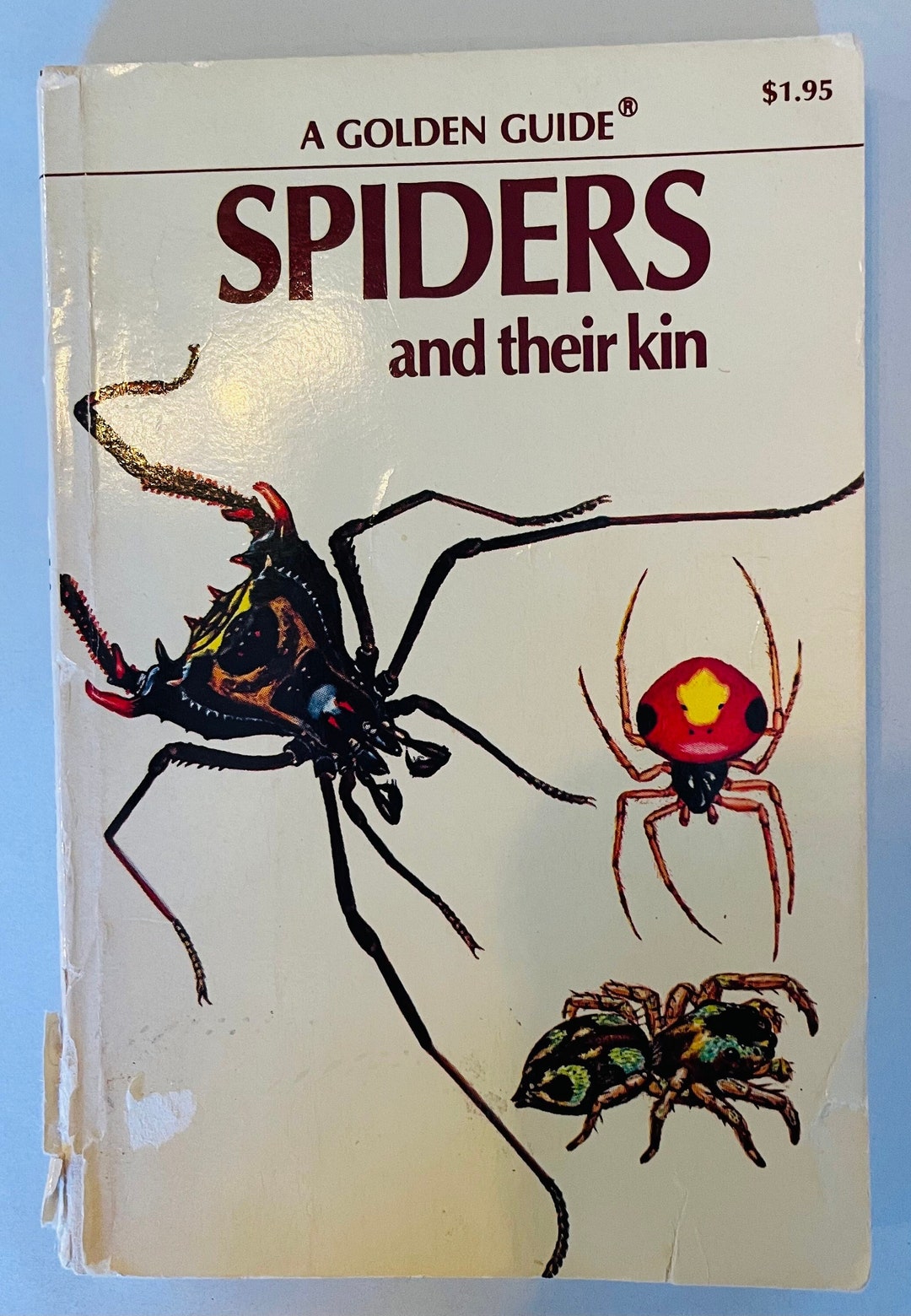 Golden Nature Guide Spiders and Their Kin Paperback - Etsy