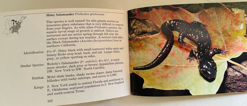 Familiar Reptiles & Amphibians of North America National Audubon ...