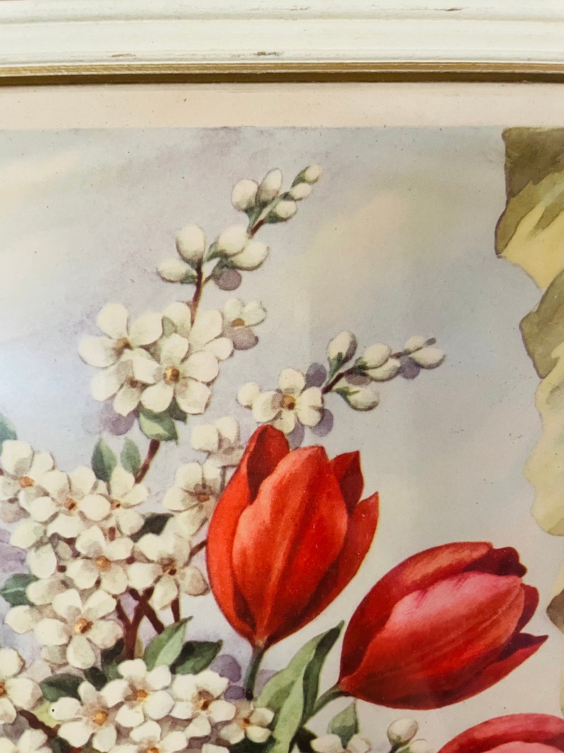 Vintage Floral Tulip Lithograph - Etsy