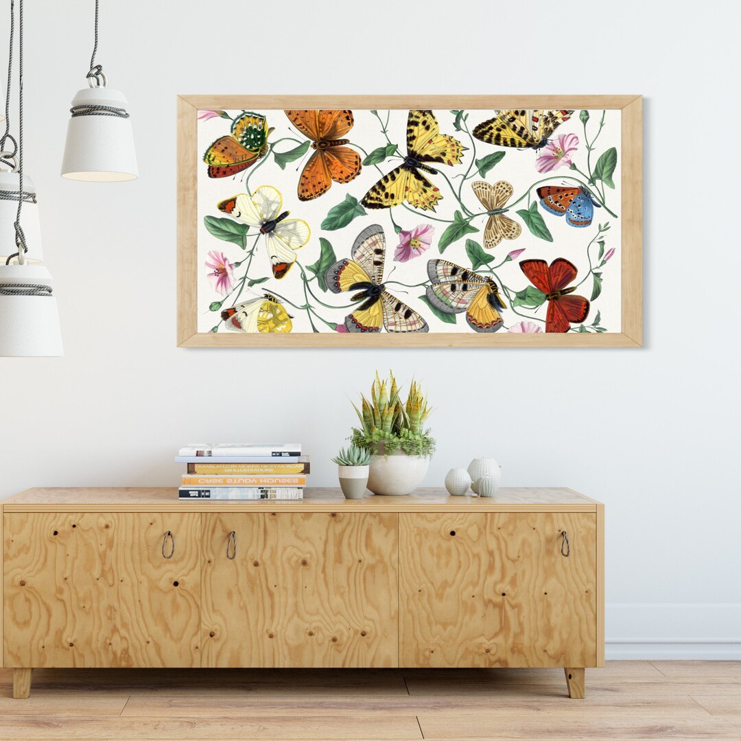 Samsung Frame TV Art, Butterflies and Moths, Paul Gervais, Close Up ...