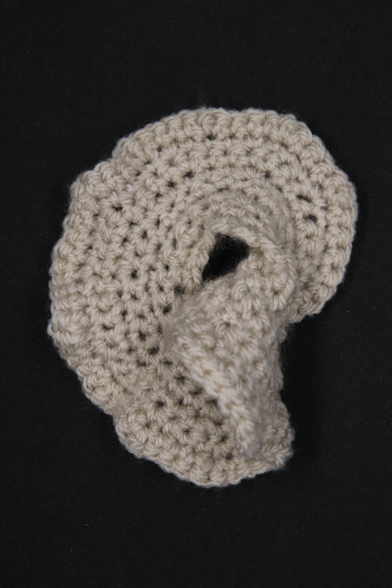 Hyperbolic Mobius Crochet Fidget Toy - Etsy