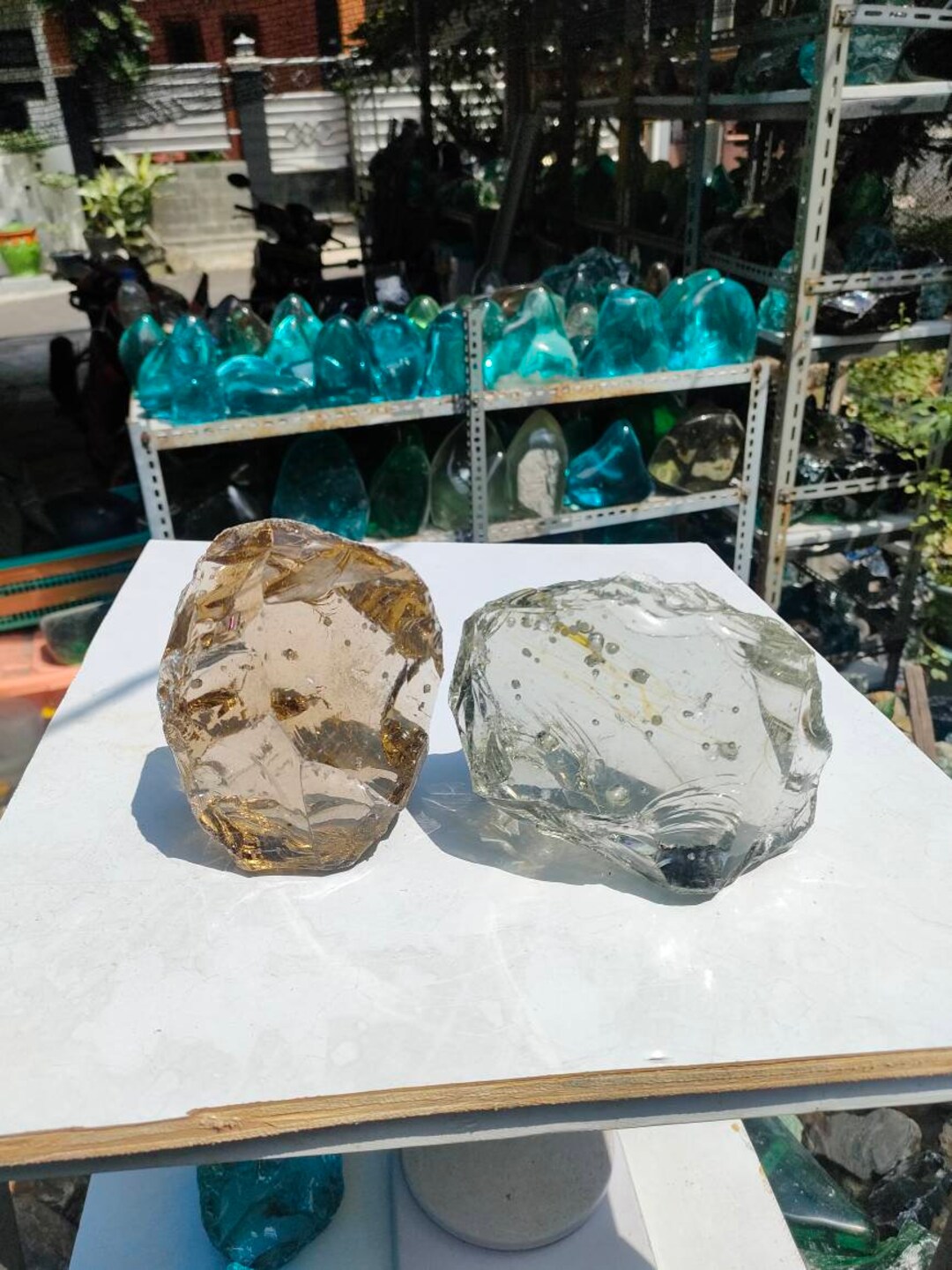 2.2kg(31b) Perfect Shape Peel of Skin Brown and Clear Snow" of Andara ...