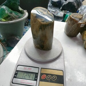 1.24kg(fs.05) "georgious Small Rare Brown Green Crystalized Petrified ...
