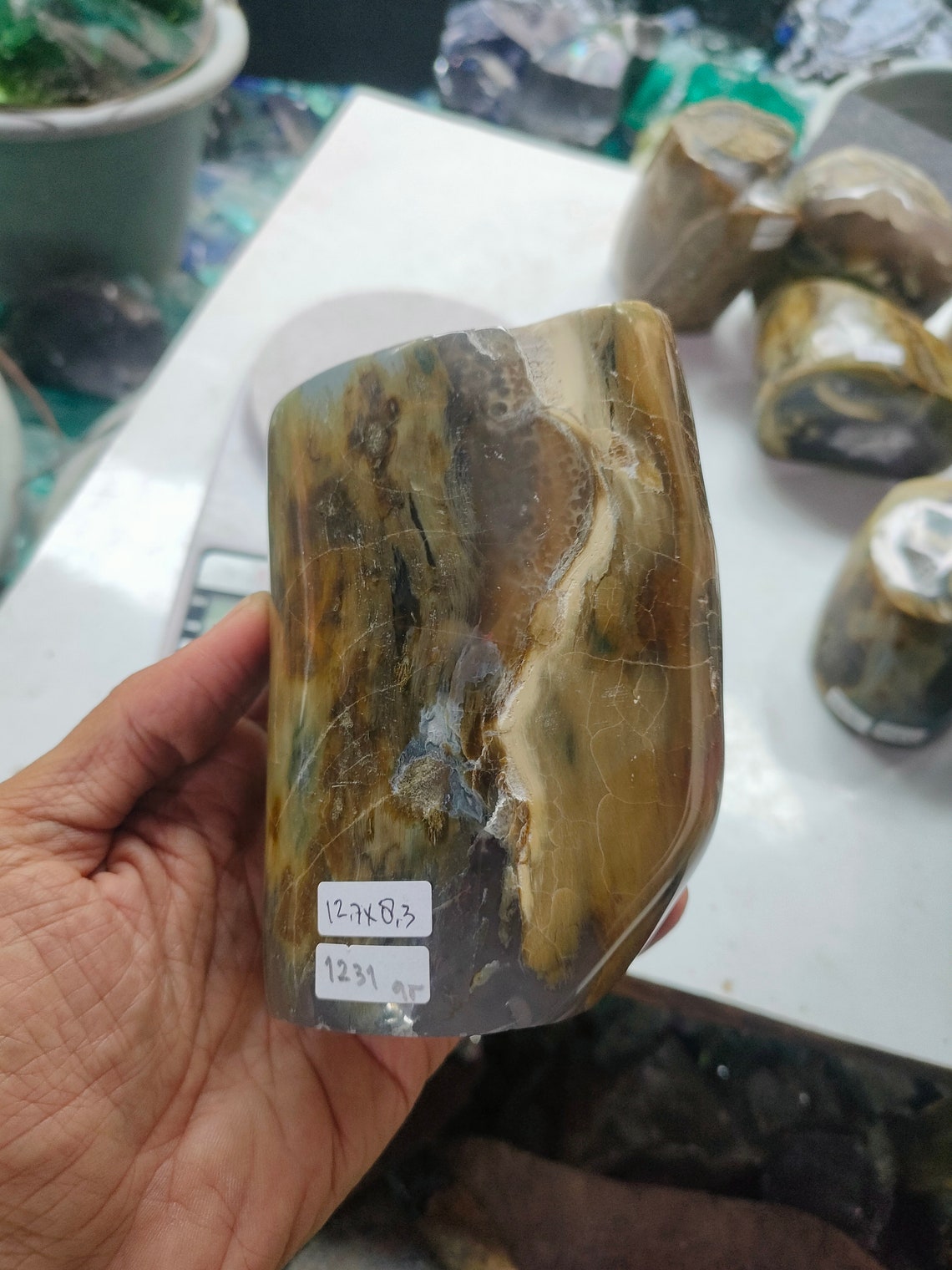 1.24kg(fs.05) "georgious Small Rare Brown Green Crystalized Petrified ...