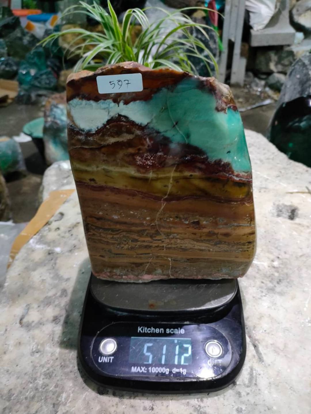 5.1kgs(597) the Master Rare Pieces"yellow,grey,green" of Agatized ...