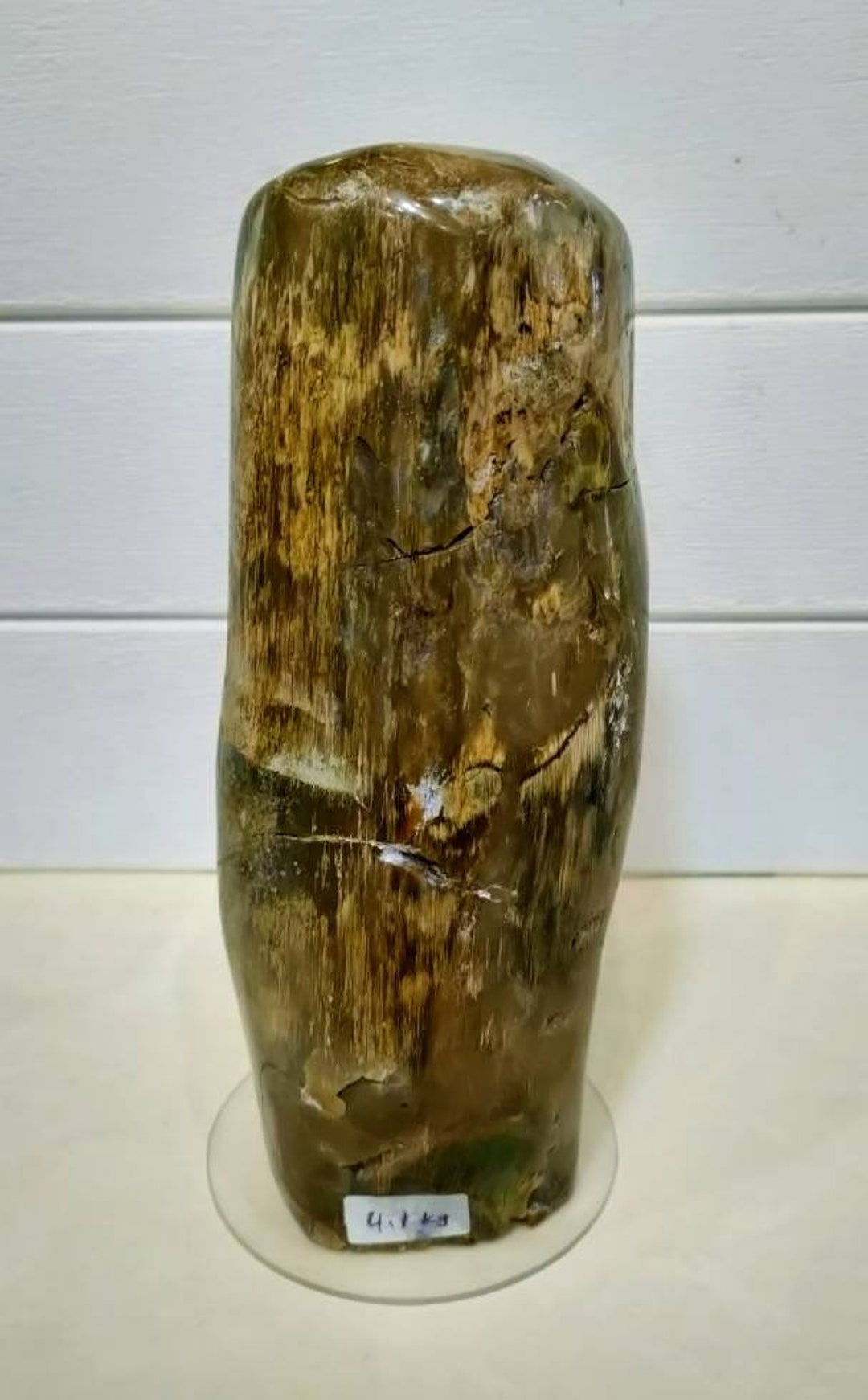 4.1kgs Exotic"the Green Pillars" of Opalized Crystalized Petrified Wood ...