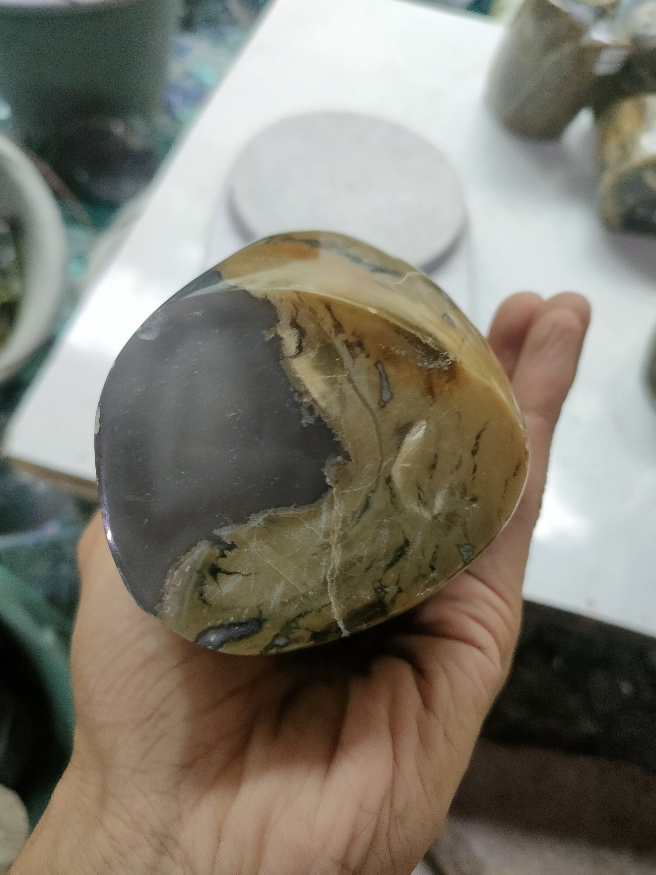 1.24kg(fs.05) "georgious Small Rare Brown Green Crystalized Petrified ...