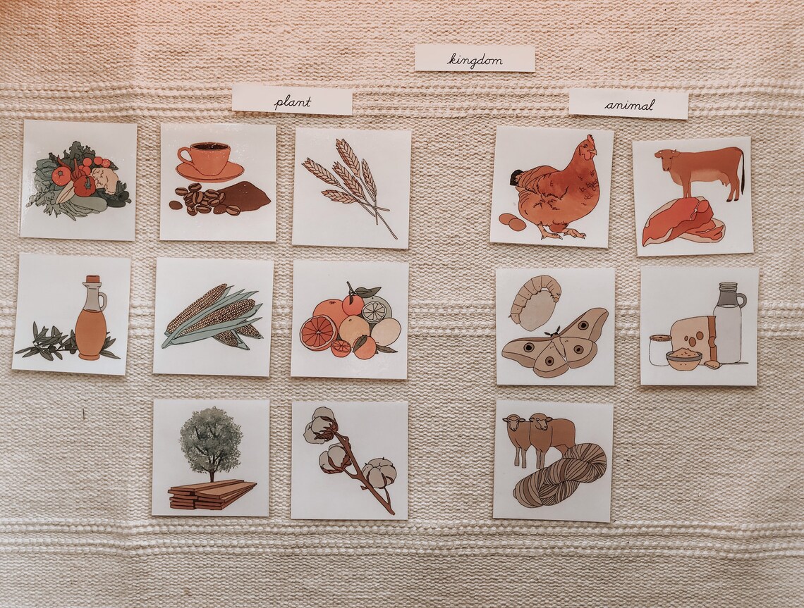 Interdependencies Cards B1 Farmer Montessori Social Studies - Etsy