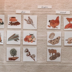 Interdependencies Cards B1 Farmer Montessori Social Studies, Instant ...