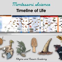 Montessori Dinosaur - Etsy